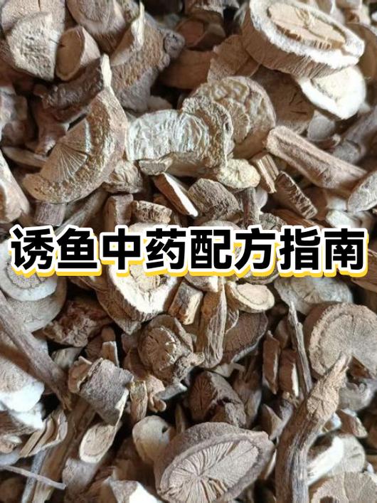 怎么诱鱼截图