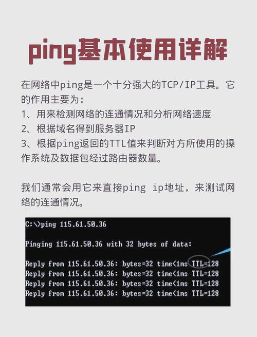 pingpong安卓版下载截图