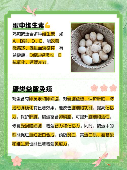 鸡鸭鹅蛋的营养价值及功效与作用截图