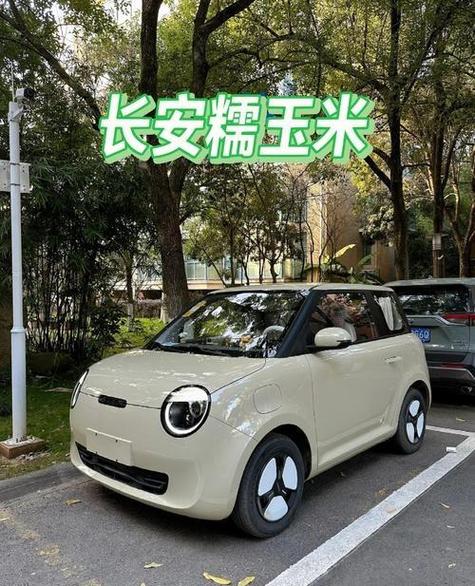 长安迷你mini版电动车截图