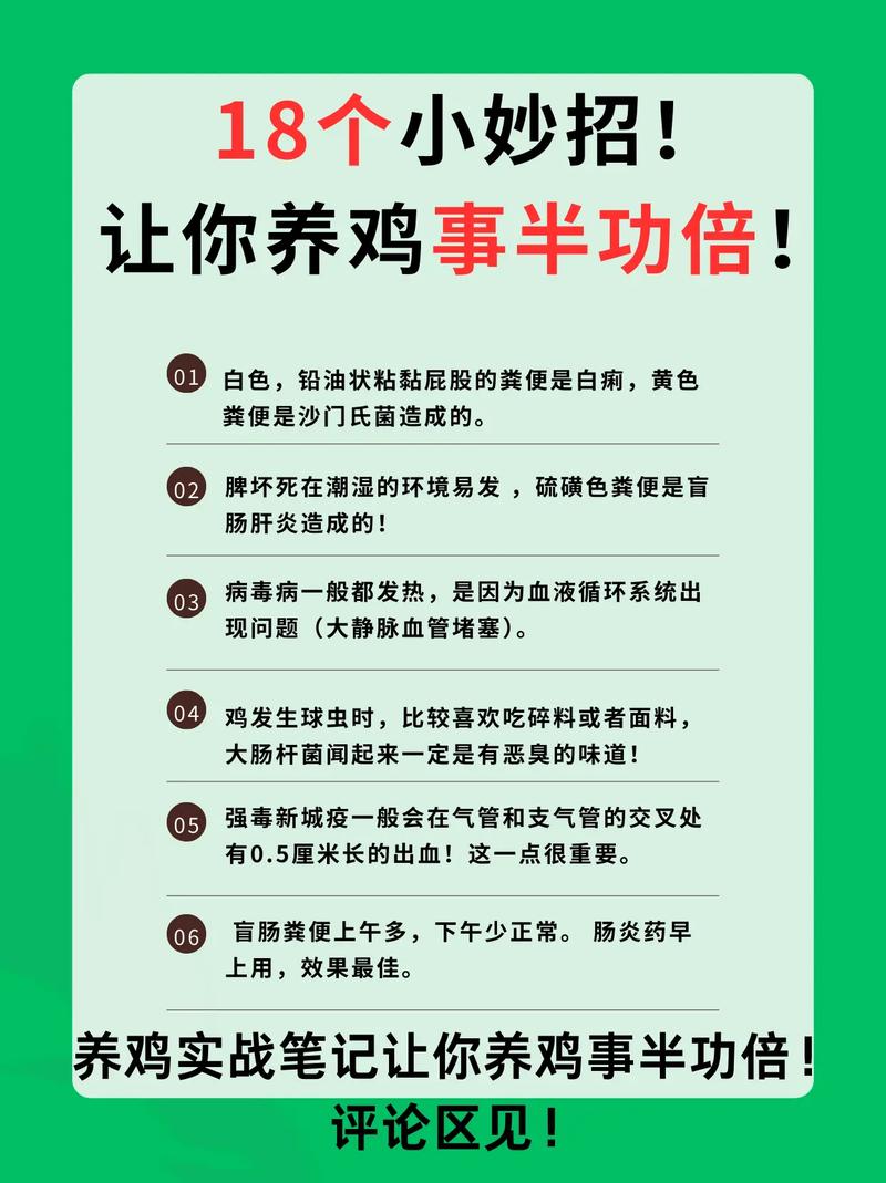 最好养的鸡前十名图标
