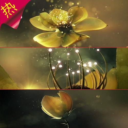 花的视频素材图标