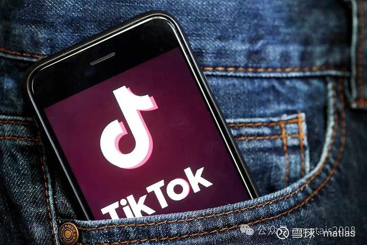 tiktok lite图标