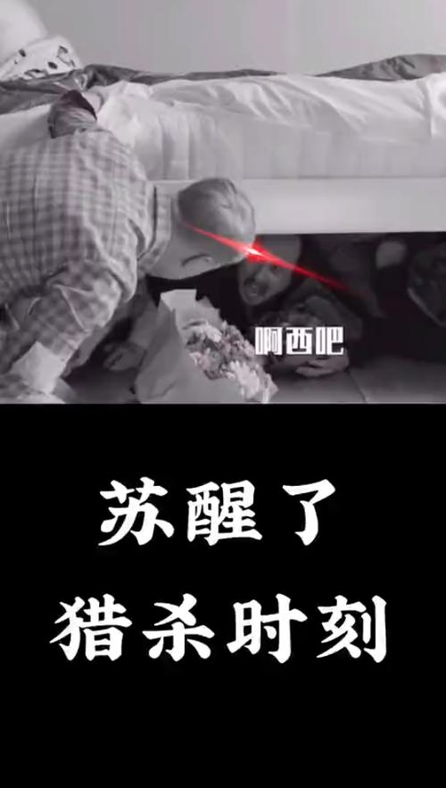 觉醒了猎杀时刻是谁说的图标