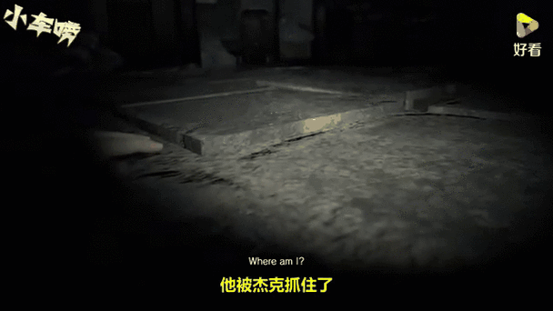 生化危机7dlc佐伊图文缩略图