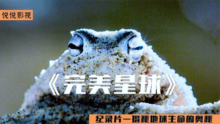完美星球在线观看图标