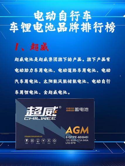 电动车电池十大排名截图