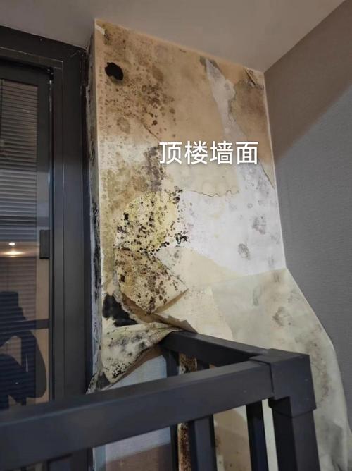 墙顶发霉是什么原因造成的图标