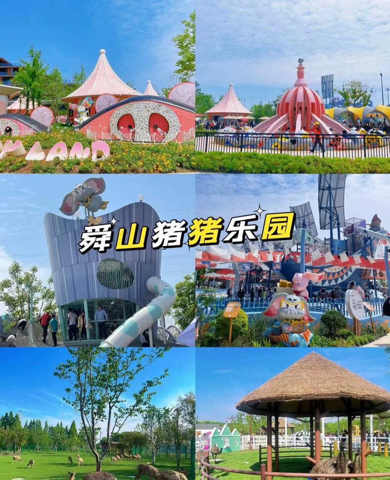 刷宝和阳光养猪场哪个好图标