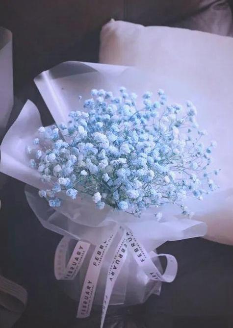 满天星花束视频图标