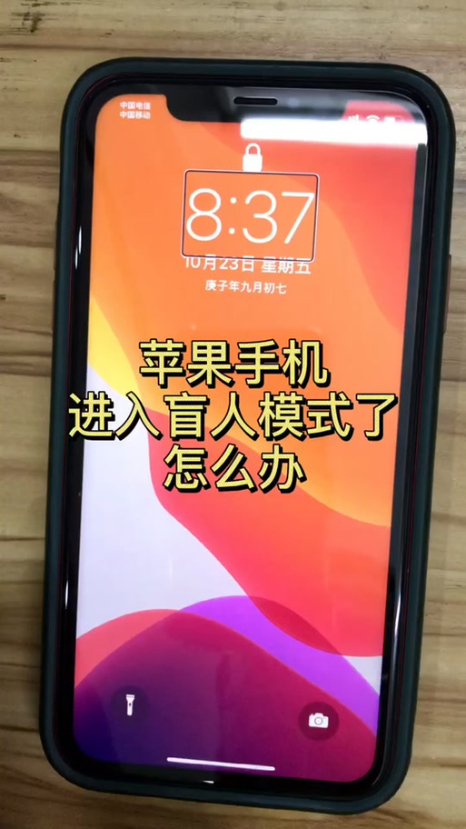 苹果x盲人模式屏不亮