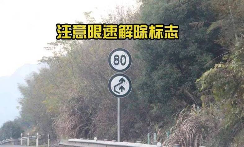 校园网解除限速图标