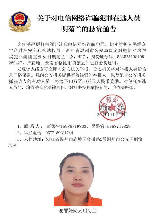 去缅北旅游危险吗图标
