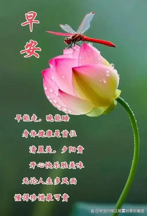 微信早安问候语图标