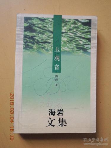 玉观音原著截图