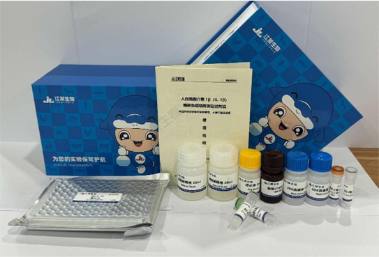 网络多少延迟算正常图标
