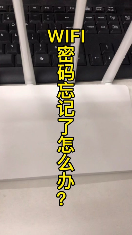盯盯拍的wifi消失了截图
