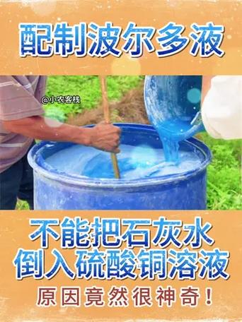 波尔多液配比方法