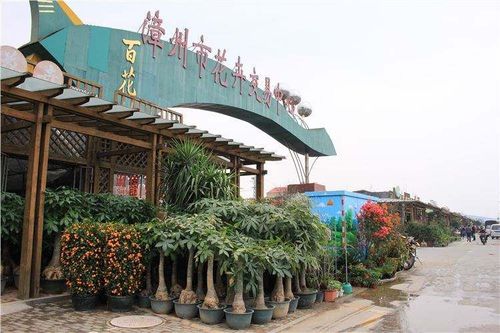 花卉批发市场地址图标