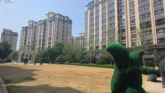 泰安市都市森林房价截图