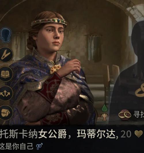 十字军之王2收入图标