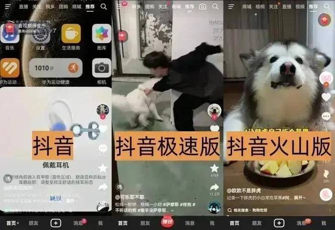 抖音里人变动物是什么软件截图