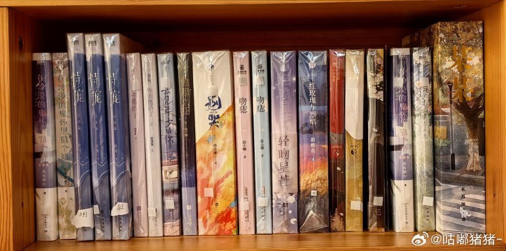 已出版原耽书籍图标