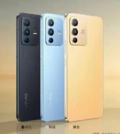 vivos12寿命一般几年图标