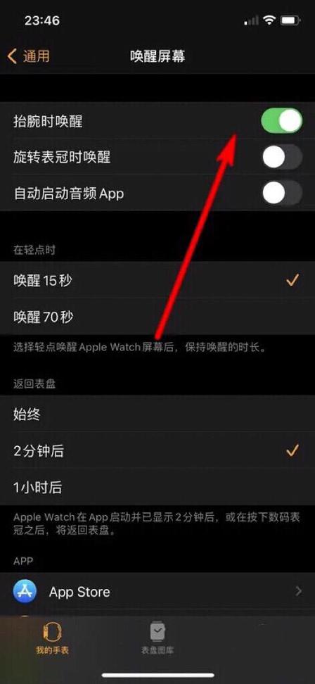 苹果抬腕亮屏在哪里设置图标