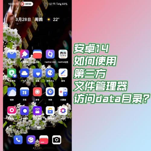真我手机文件管理在哪里