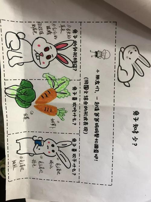 如何饲养兔子知识图标