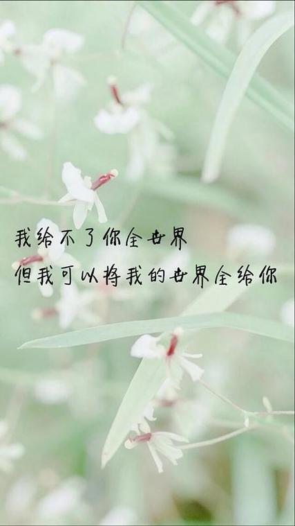 我的世界我一个人就好说说截图