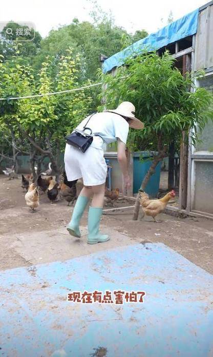 爱抓鸡睡觉的女人什么性格