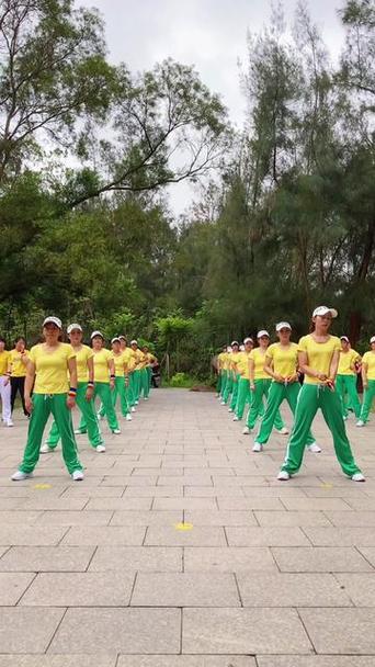 武阿哥七号套舞最火的十首歌曲