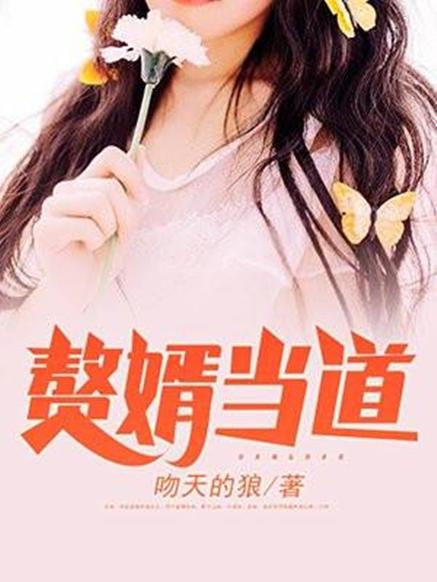 赘婿当道图标