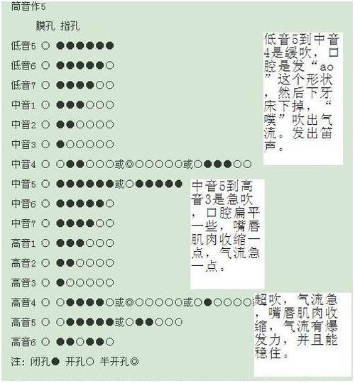 笛子吹法教程图标