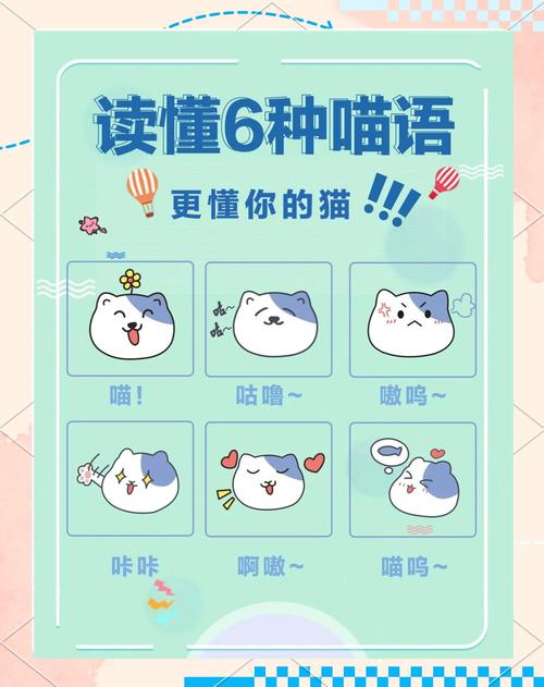 免费的猫语翻译图标