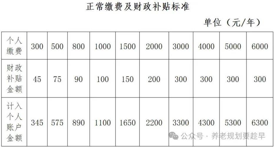 陕西2026补缴最晚时间图标