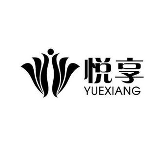 悦享图标