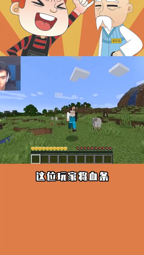 mc永久修改血量上限指令图标