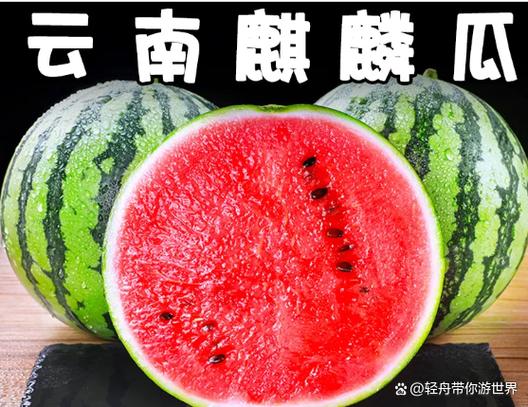 西瓜视频极速版赚钱下载安装图标