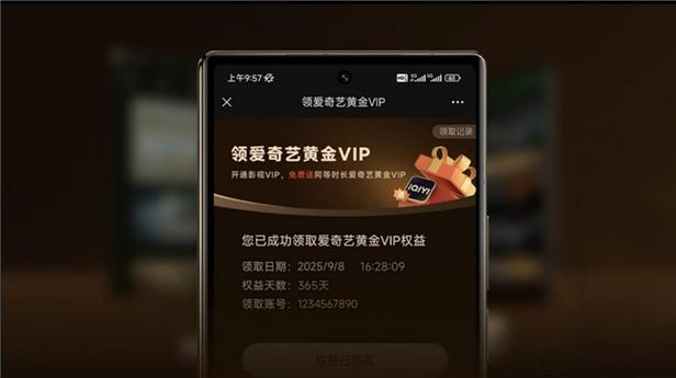 两台小米电视共用一个vip账号图标