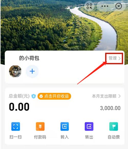 如何设置小荷包不扣卡里的钱截图