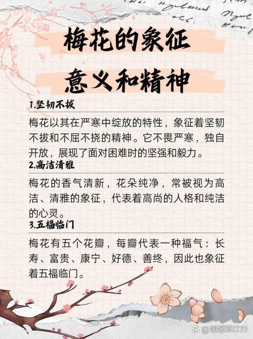 梅花的寓意和象征图标