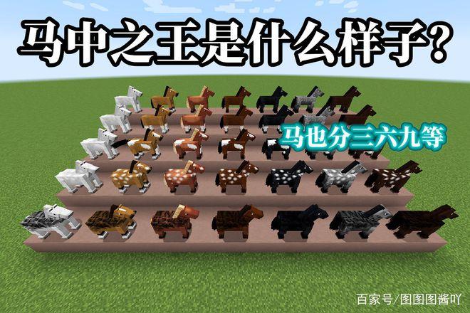 我的世界极品马多少血图标