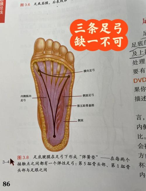 我的世界在脚底下生成方块的指令图标
