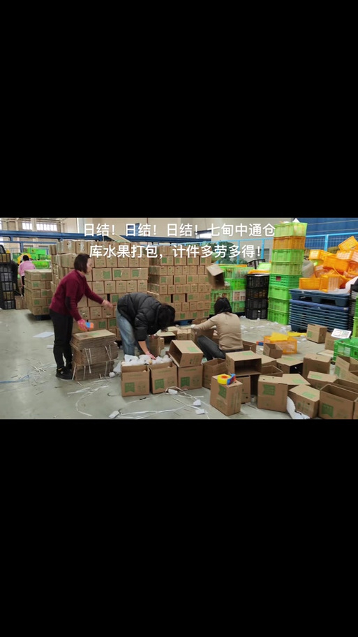 水果招搬运工400一天截图