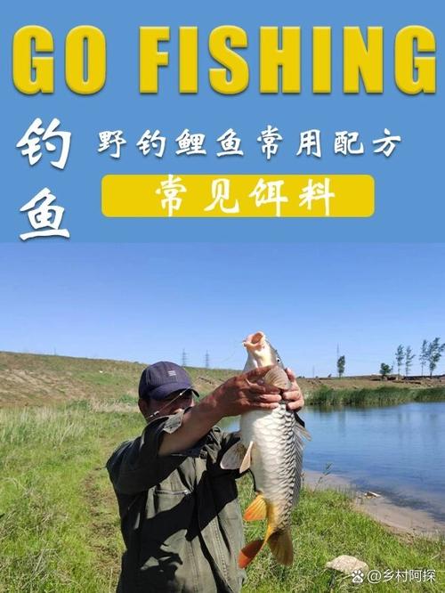 野钓鲤鱼公认最强饵料缩略图