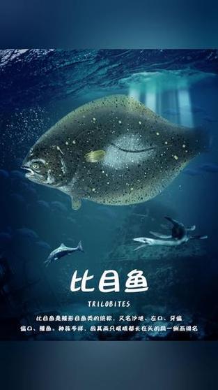 比目鱼为什么叫比目截图
