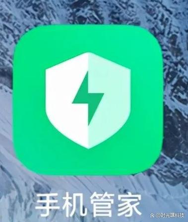 手机管家支付保护图标